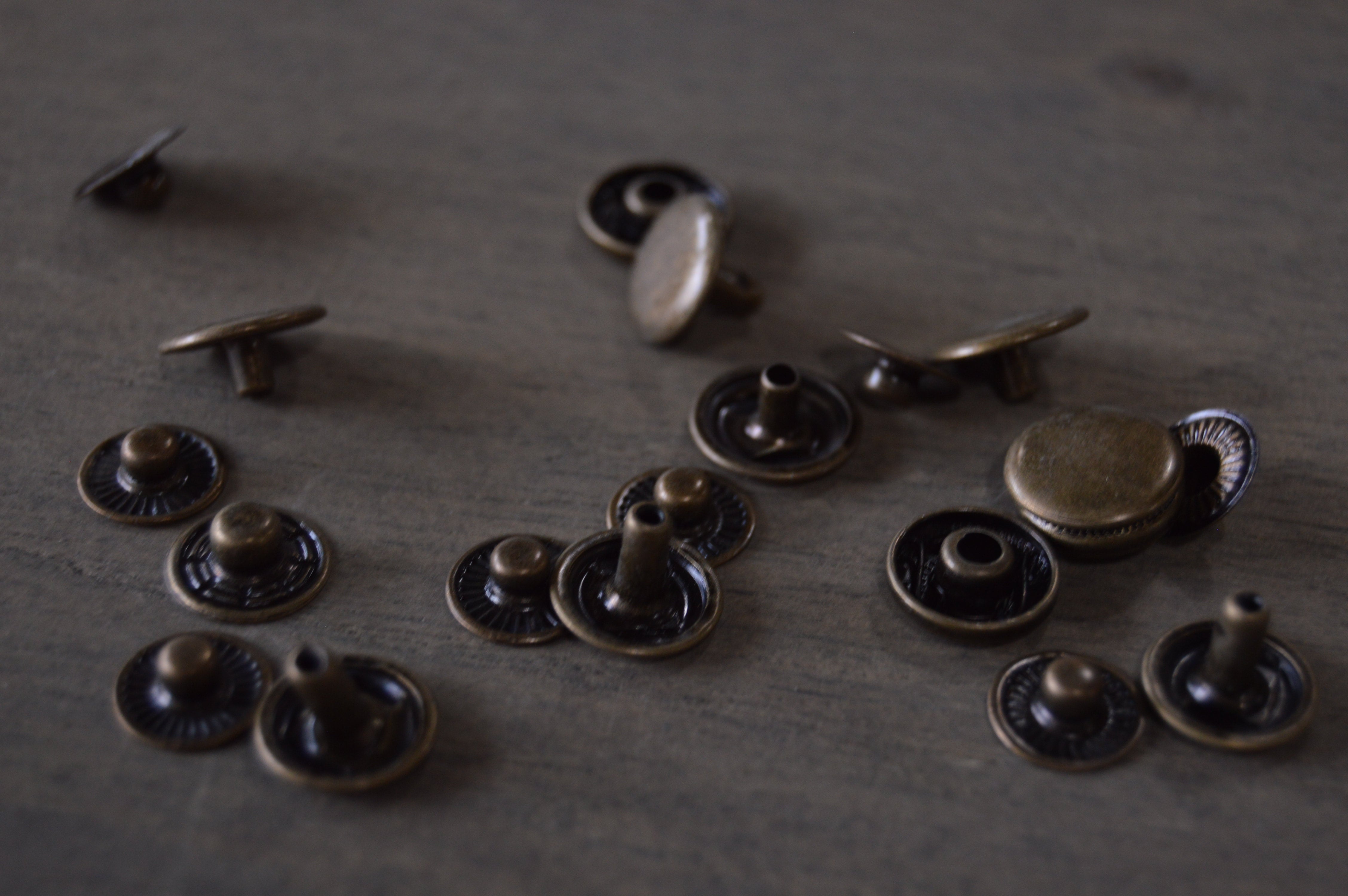 Spring Snaps | Salt Lake Sewciety